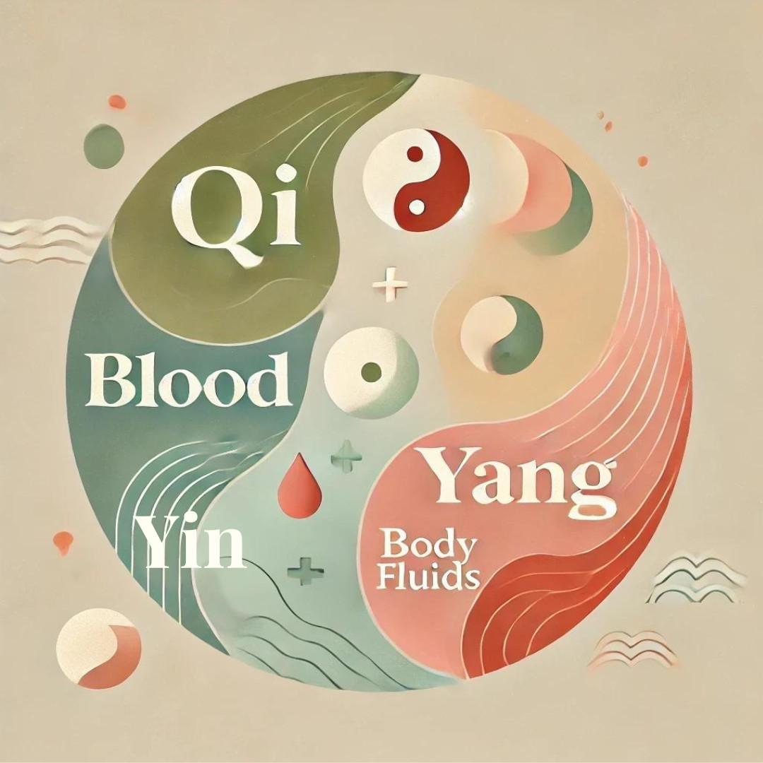 Understanding the Menstrual Cycle Through the Lens of Traditional ...